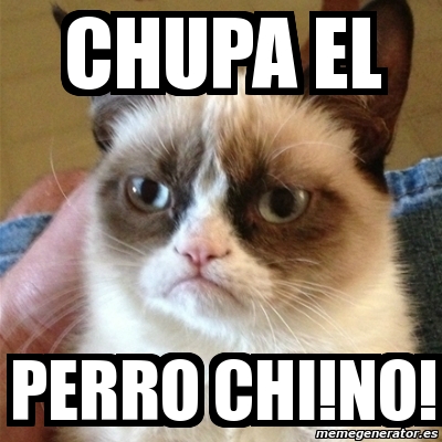 Meme Grumpy Cat - chupa el perro chi!no! - 3613636
