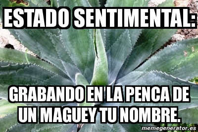 Meme Personalizado - Estado sentimental: Grabando en la penca de un ...