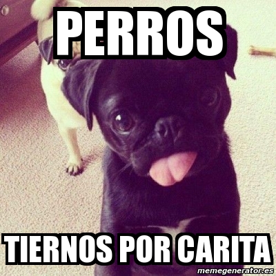 Memes Que Tiernos