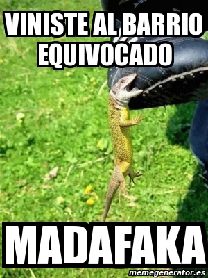 Meme Personalizado - viniste al barrio equivocado madafaka - 3627835