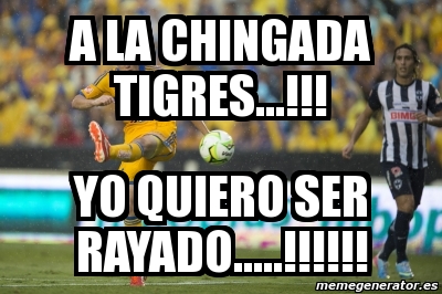 Meme Personalizado - A LA CHINGADA TIGRES...!!! YO QUIERO SER RAYADO ...