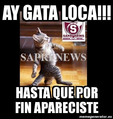 Meme Personalizado - ay gata loca!!! hasta que por fin apareciste - 3641605