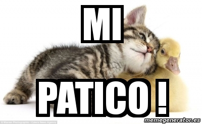 Meme Personalizado - mi patico ! - 3656989