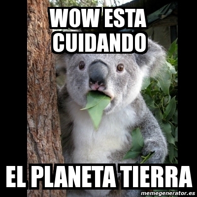 Meme Koala - wow esta cuidando el planeta tierra - 3677554