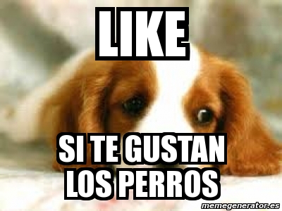 Meme Personalizado - LIKE SI TE GUSTAN LOS PERROS - 3677907