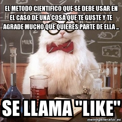 Meme Chemistry Cat - el metodo cientifico que se debe usar en el caso ...