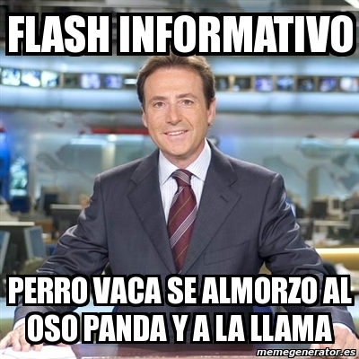 Meme Matias Prats - flash informativo perro vaca se almorzo al oso ...