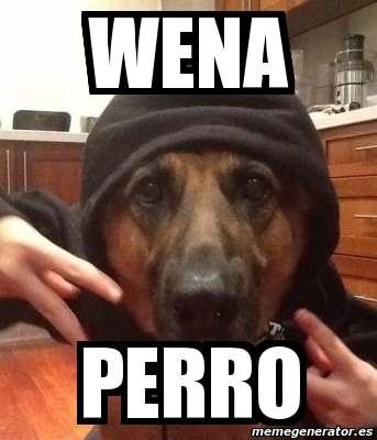 Meme Personalizado - wena perro - 3711251