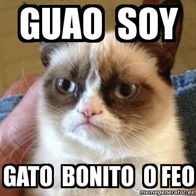 Meme Grumpy Cat - guao soy gato bonito o feo - 3713014