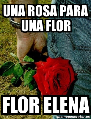 Meme Personalizado - una rosa para una flor Flor Elena - 3757838