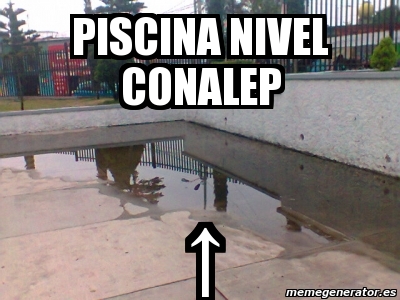 Meme Personalizado - piscina nivel conalep â†‘ - 3779919