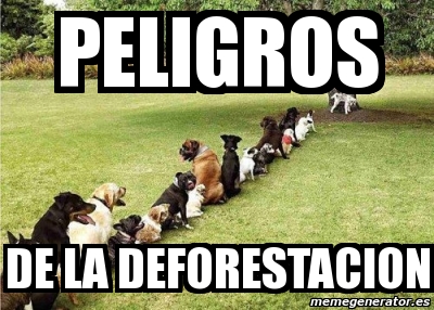 Meme Personalizado - peligros de la deforestacion - 3785607