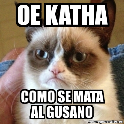 Meme Grumpy Cat - oe katha como se mata al gusano - 3802738