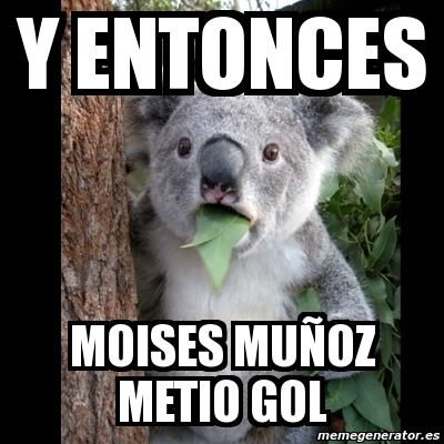 Meme Koala - y entonces moises muÃ±oz metio gol - 3803749