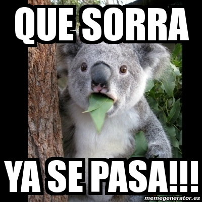 Meme Koala - QUE SORRA YA SE PASA!!! - 3822731