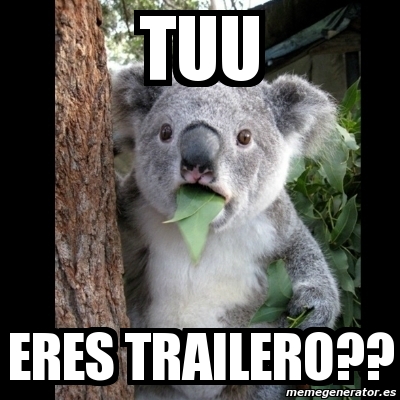 Meme Koala - TUU ERES TRAILERO?? - 3832536