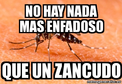 Meme Personalizado - No hay nada mas enfadoso que un zancudo - 3845890