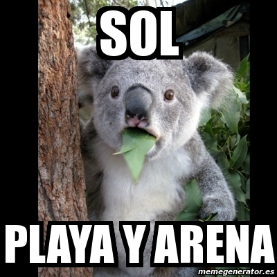 Meme Koala - sol playa y arena - 3847312