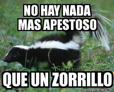 Meme Personalizado - no hay nada mas apestoso que un zorrillo - 3875778