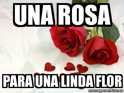 Meme Personalizado - una rosa para una linda flor - 3093021