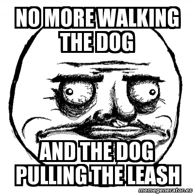 Meme Me Gusta - No more walking the dog And the dog Pulling the Leash ...