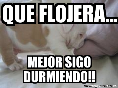 Meme Personalizado - que flojera... mejor sigo durmiendo!! - 3957660
