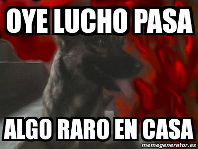 Meme Personalizado - oye lucho pasa algo raro en casa - 3970367