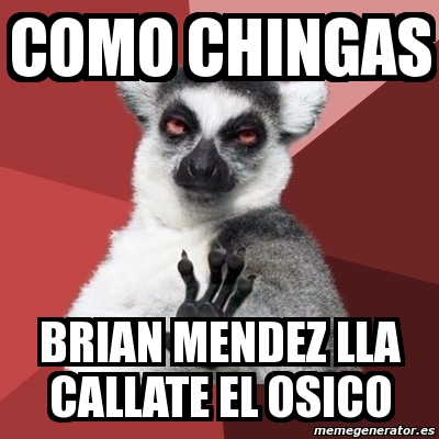 Meme Chill Out Lemur - como chingas brian mendez lla callate el osico ...