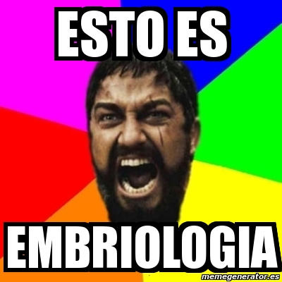 Meme Sparta - esto es embriologia - 3983834