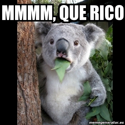 Meme Koala - Mmmm, que rico - 30101521
