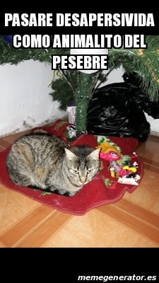 Meme Personalizado - pasare desapersivida como animalito del pesebre ...
