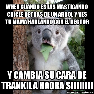 Meme Koala - when cuando estas masticando chicle detras de un arbol y ...