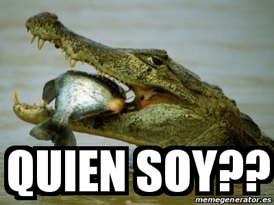 Meme Personalizado - Quien soy?? - 30135788