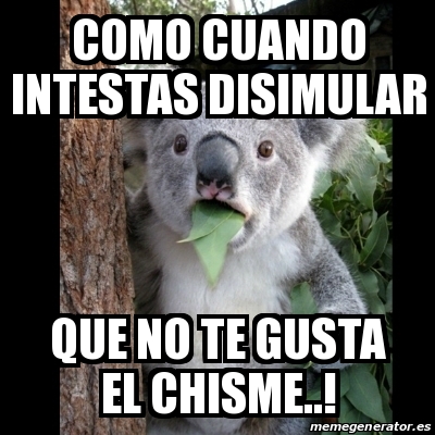 Meme Koala - como cuando intestas disimular que no te gusta el chisme ...