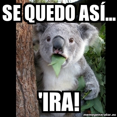 Meme Koala - Se quedo asÃ­... 'ira! - 30167983