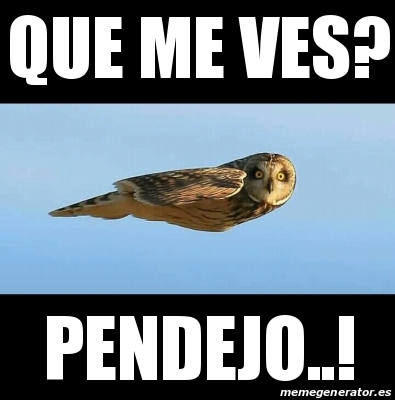 Meme Personalizado - Que me ves? Pendejo..! - 30177378
