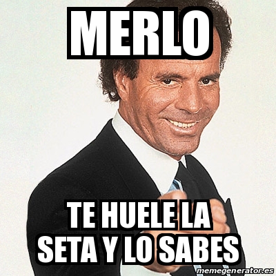 Meme Julio Iglesias - Merlo Te huele la seta y lo sabes - 30183165