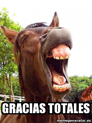Meme Personalizado - Gracias totales - 30185213