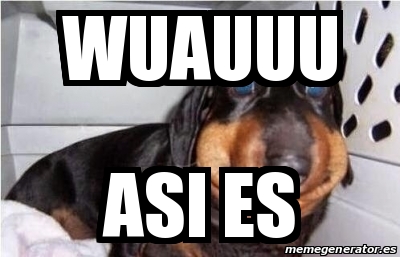 Meme Personalizado - Wuauuu Asi es - 30198275