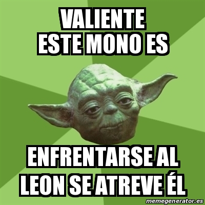 Meme Yoda - valiente este mono es enfrentarse al leon se atreve Ã©l ...