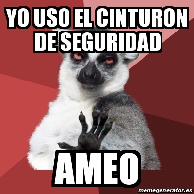 Meme Chill Out Lemur - YO USO EL CINTURON DE SEGURIDAD AMEO - 30022148