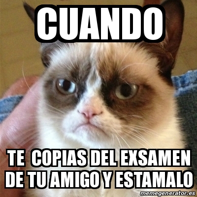 Meme Grumpy Cat - cuando te copias del exsamen de tu amigo y estamalo ...