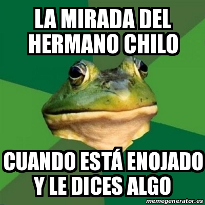 Meme Foul Bachelor Frog - La mirada del Hermano chilo Cuando estÃ ...