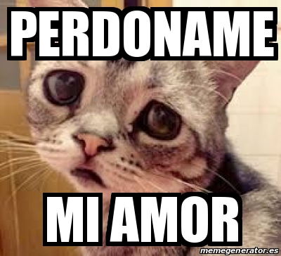 Meme Personalizado - perdoname mi amor - 30205940