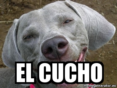 Meme Personalizado - El cucho - 30230129