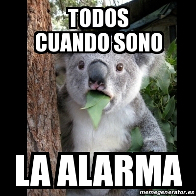 Meme Koala - Todos cuando sono La alarma - 30239965
