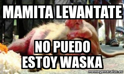 Meme Personalizado - Mamita levantate No puedo estoy waska - 30283286