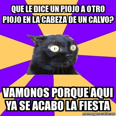 Meme Anxiety Cat - Que le dice un piojo a otro piojo en la cabeza de un ...