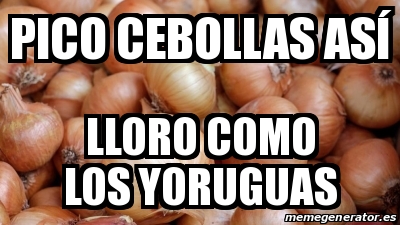 Meme Personalizado - Pico Cebollas asÃ­ lloro como los Yoruguas - 30294453