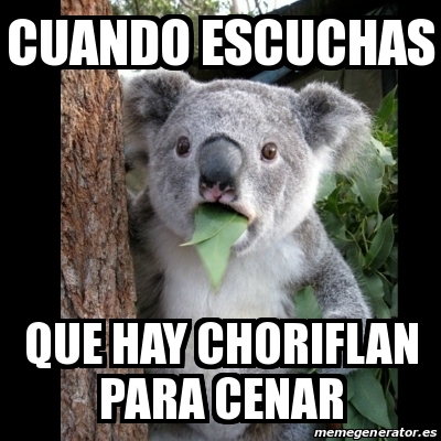 Meme Koala - cuando escuchas que hay choriflan para cenar - 30325568